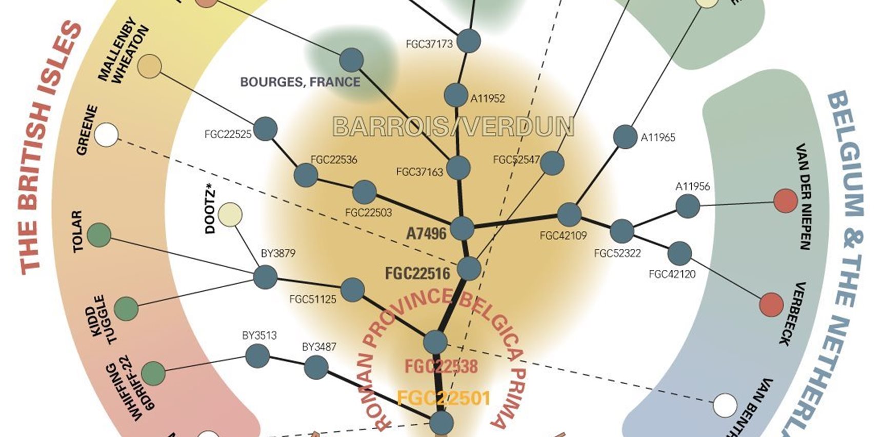 Tripp - Photos | FamilyTreeDNA