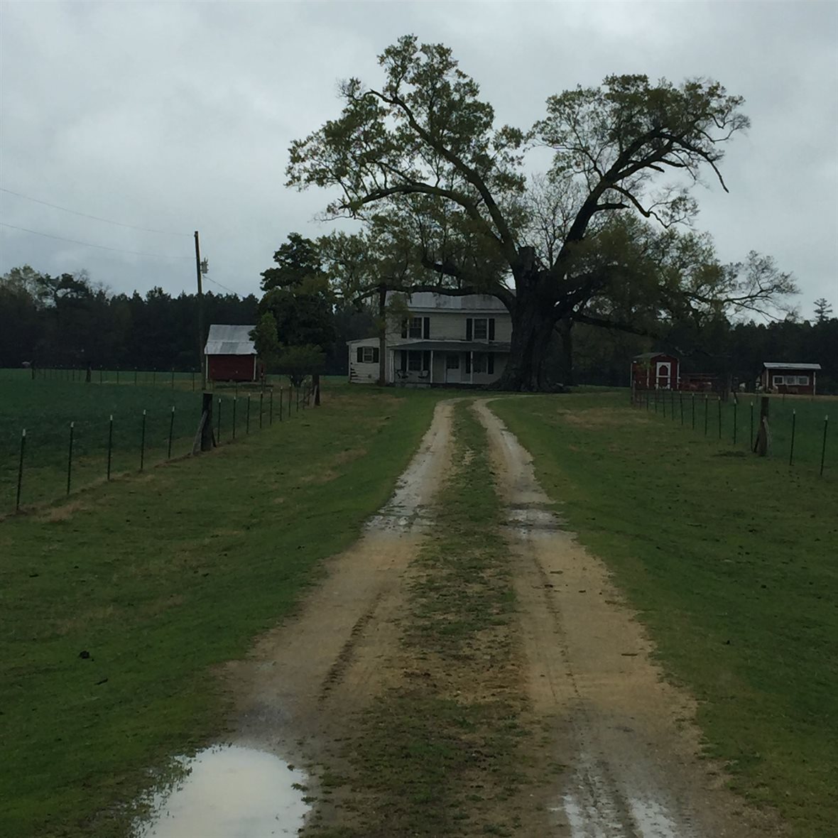 Faison/Fayson - Activity Feed | FamilyTreeDNA