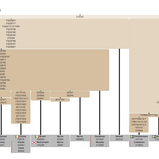 Airgialla_Mag_Uidhir - Photos | FamilyTreeDNA