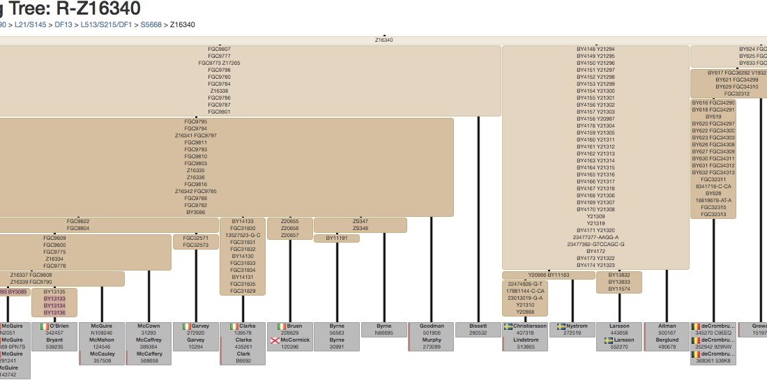 Airgialla_Mag_Uidhir - Photos | FamilyTreeDNA