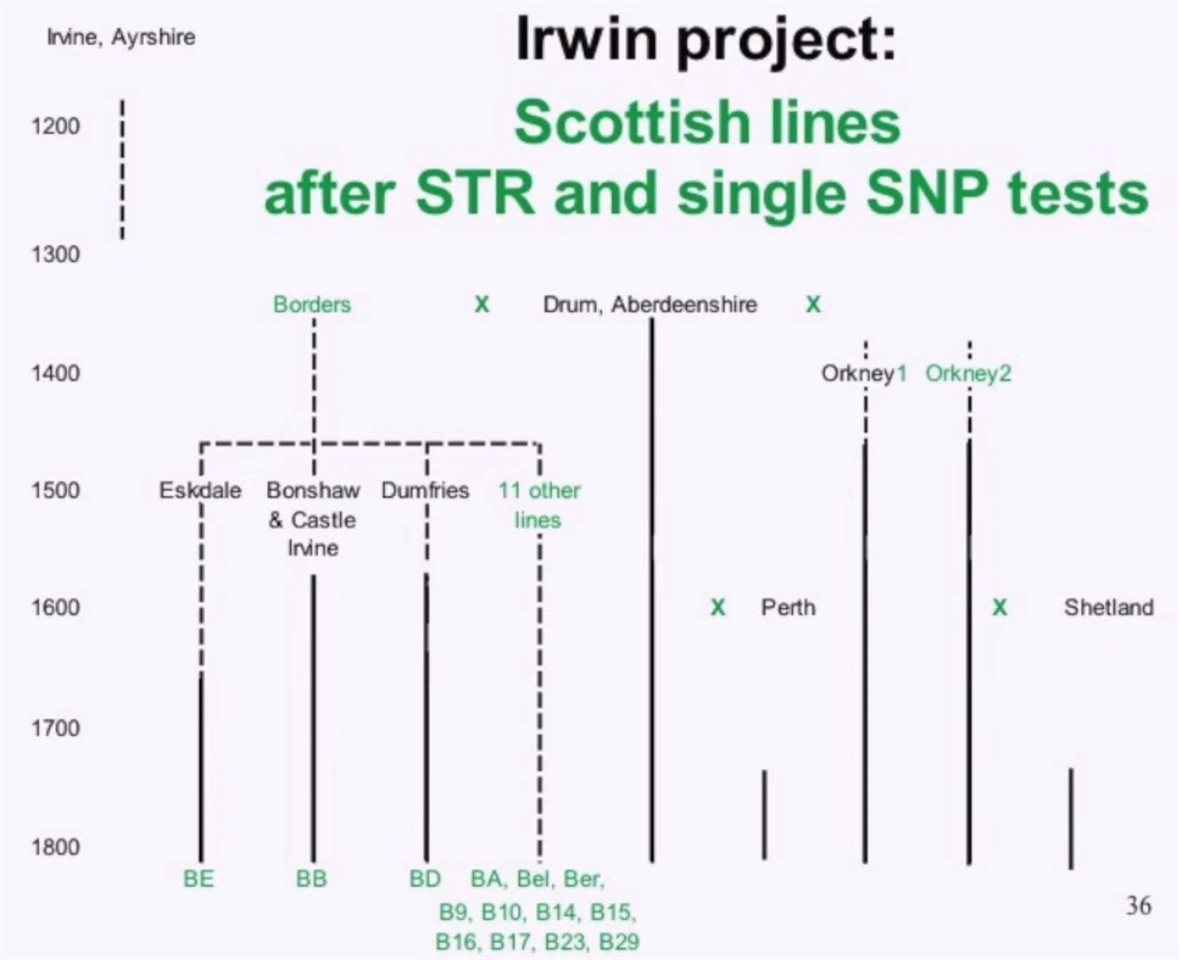 FTDNA Irvine Irwin - Gorrenberry