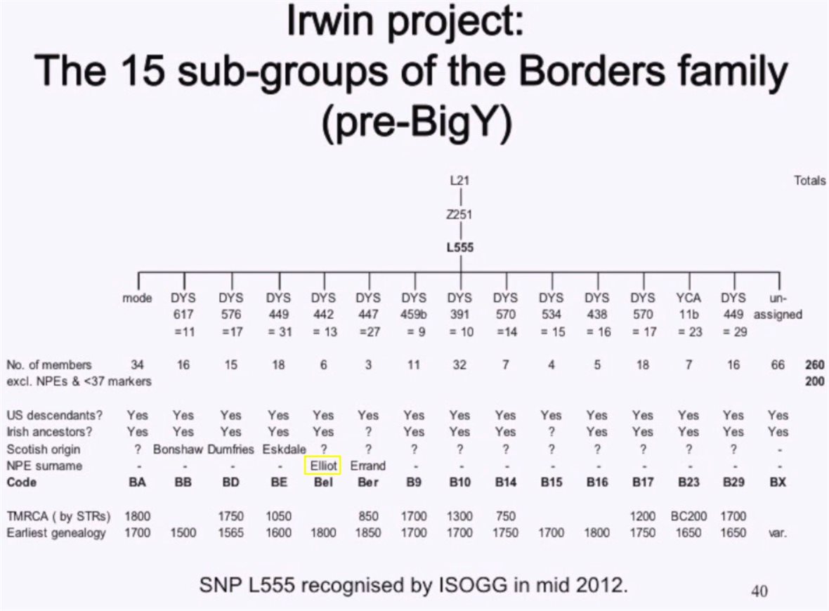FTDNA Irvine Irwin - Gorrenberry
