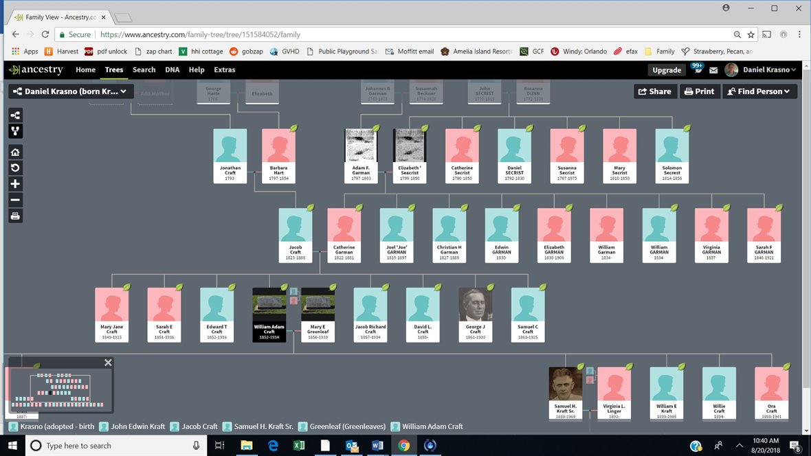 Craft - Activity Feed | FamilyTreeDNA