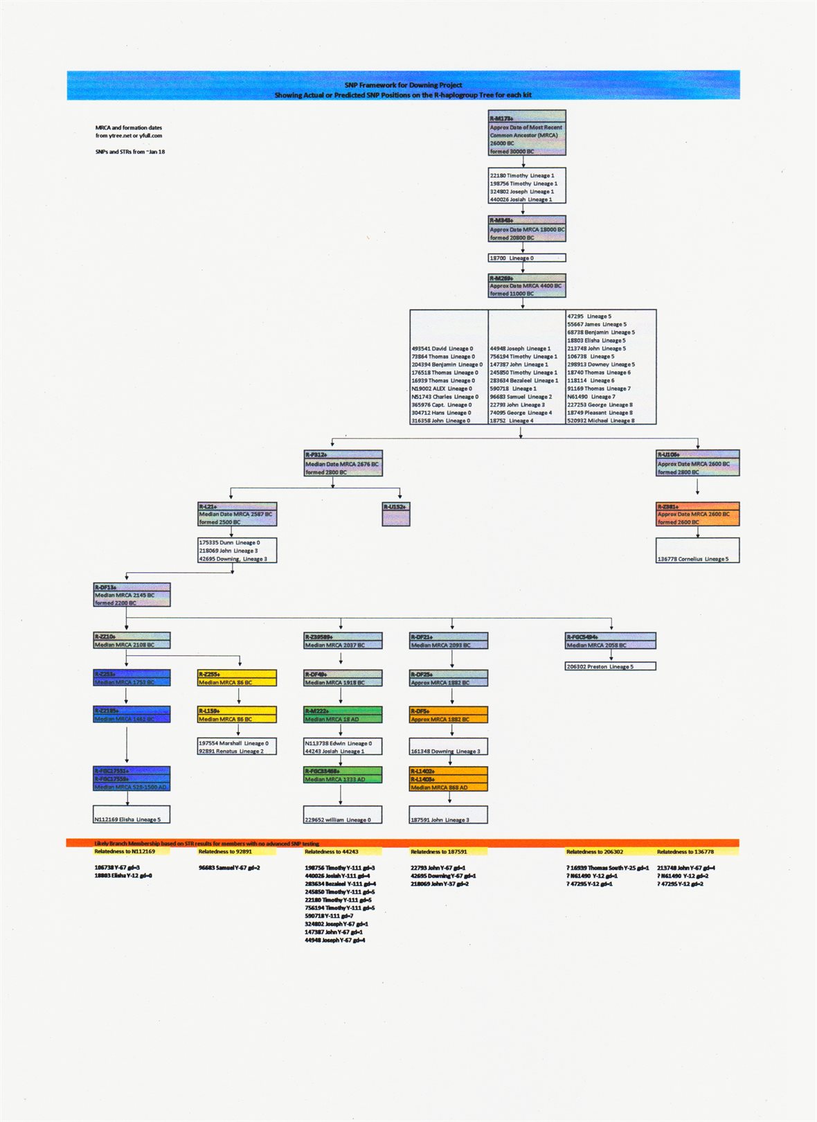 Downing - Activity Feed | FamilyTreeDNA