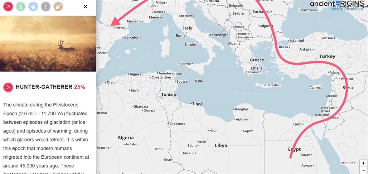 R mtDNA - Activity Feed | FamilyTreeDNA