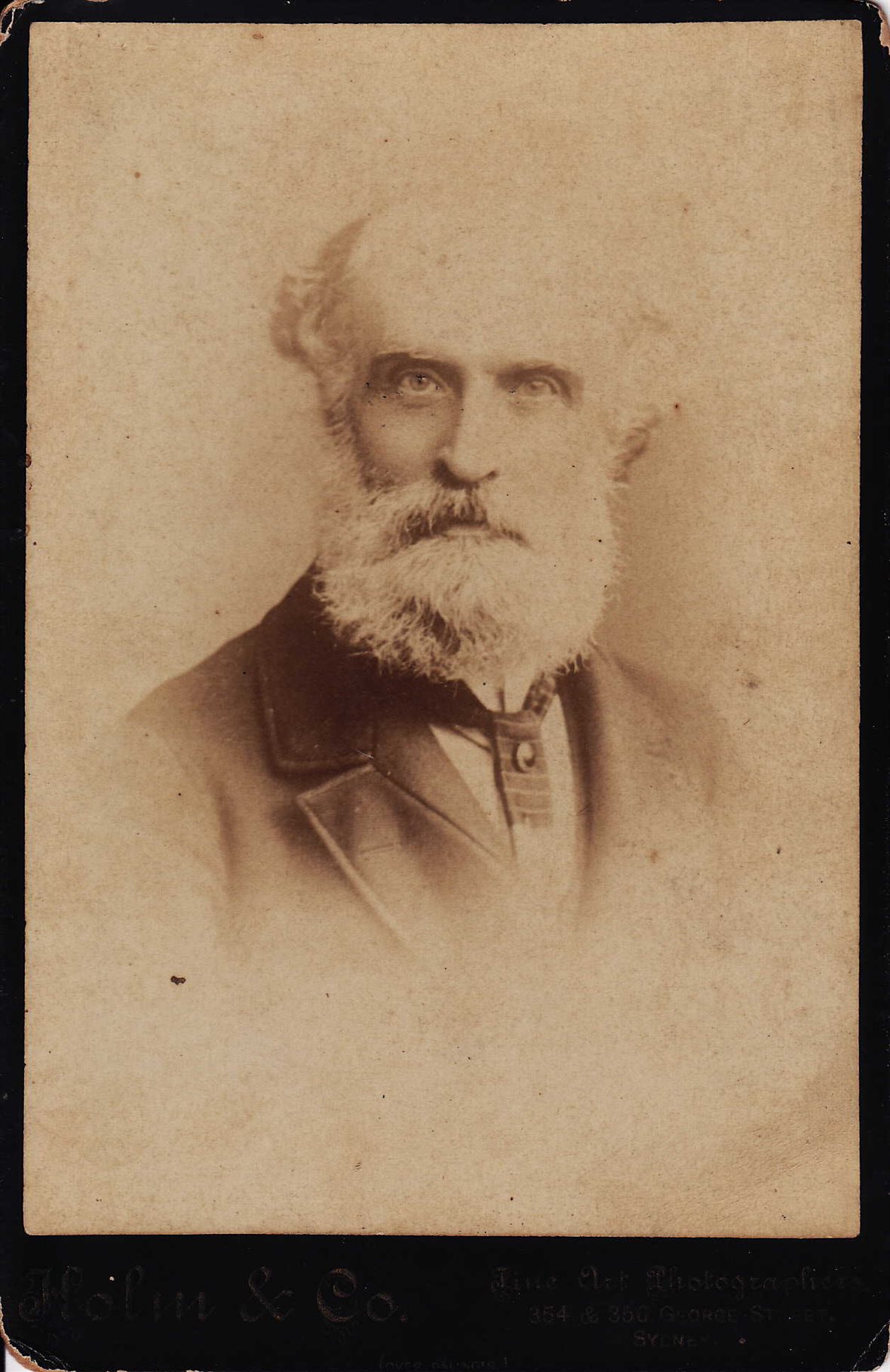 Rust - Activity Feed | FamilyTreeDNA