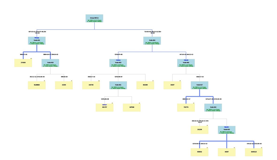 Pratt - Activity Feed | FamilyTreeDNA