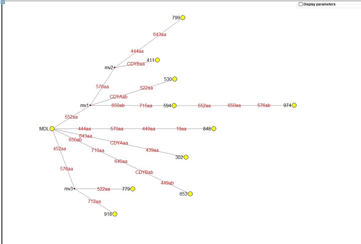 Harrington - Activity Feed | FamilyTreeDNA