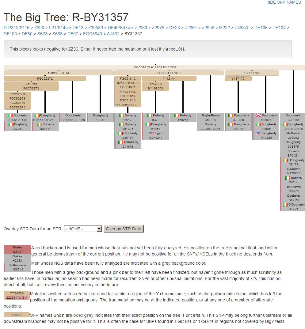 Doherty Surname Group - Activity Feed | FamilyTreeDNA