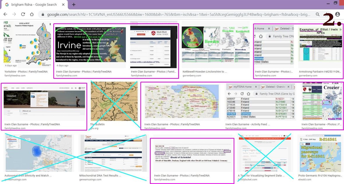 FTDNA Irvine Irwin - Gorrenberry