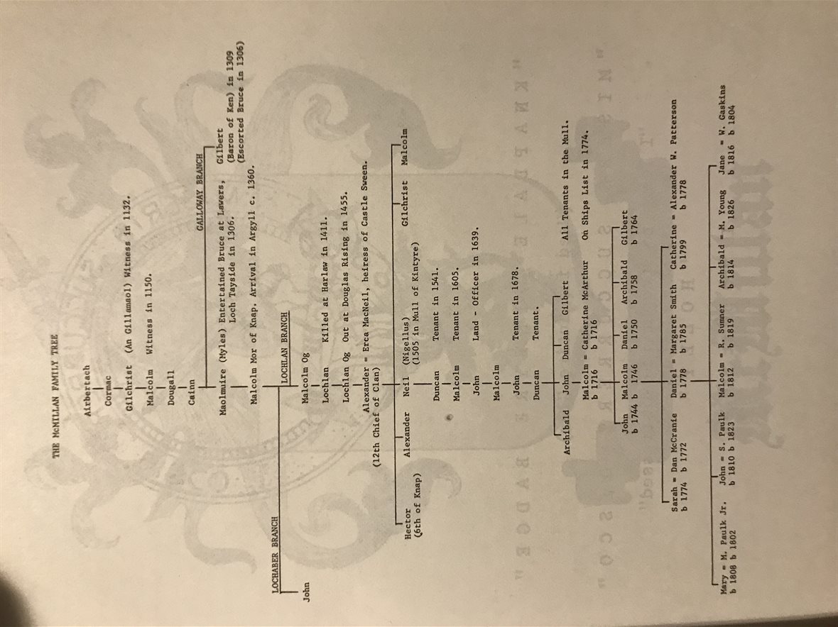 MacMillan - Activity Feed | FamilyTreeDNA