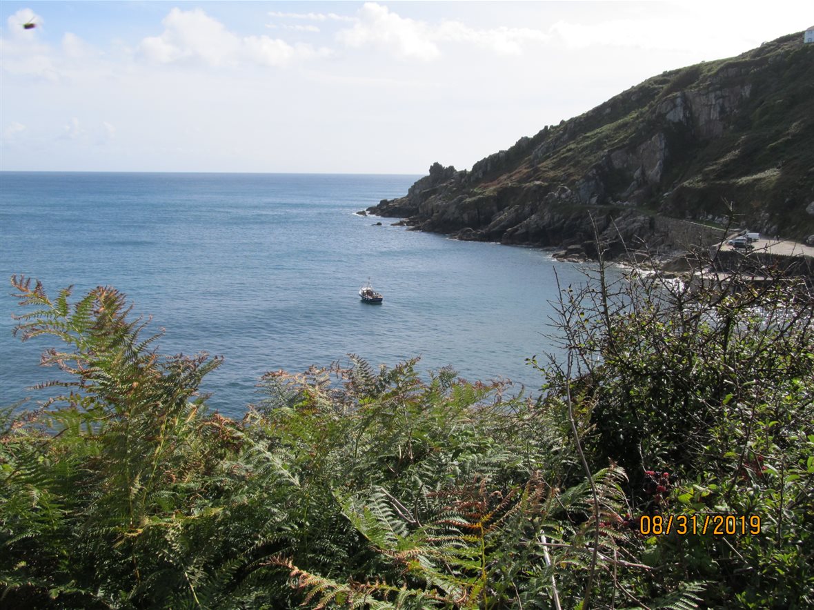 Cornwall - Activity Feed | FamilyTreeDNA