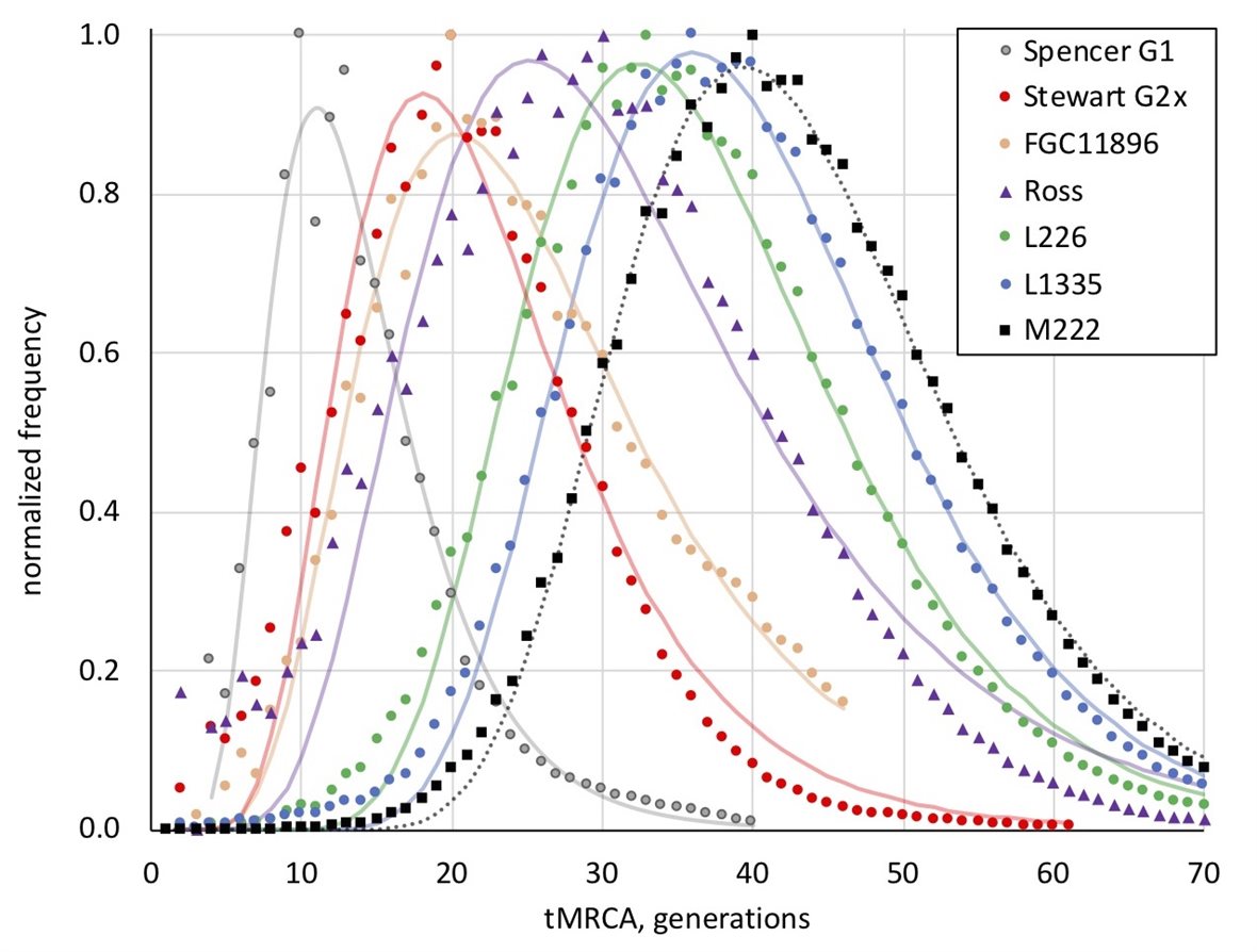 TMRCA Case Studies - Activity Feed | FamilyTreeDNA