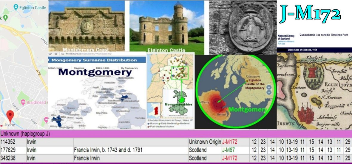 FTDNA Irvine Irwin - Gorrenberry