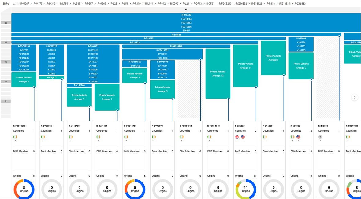 Porter - Activity Feed | FamilyTreeDNA