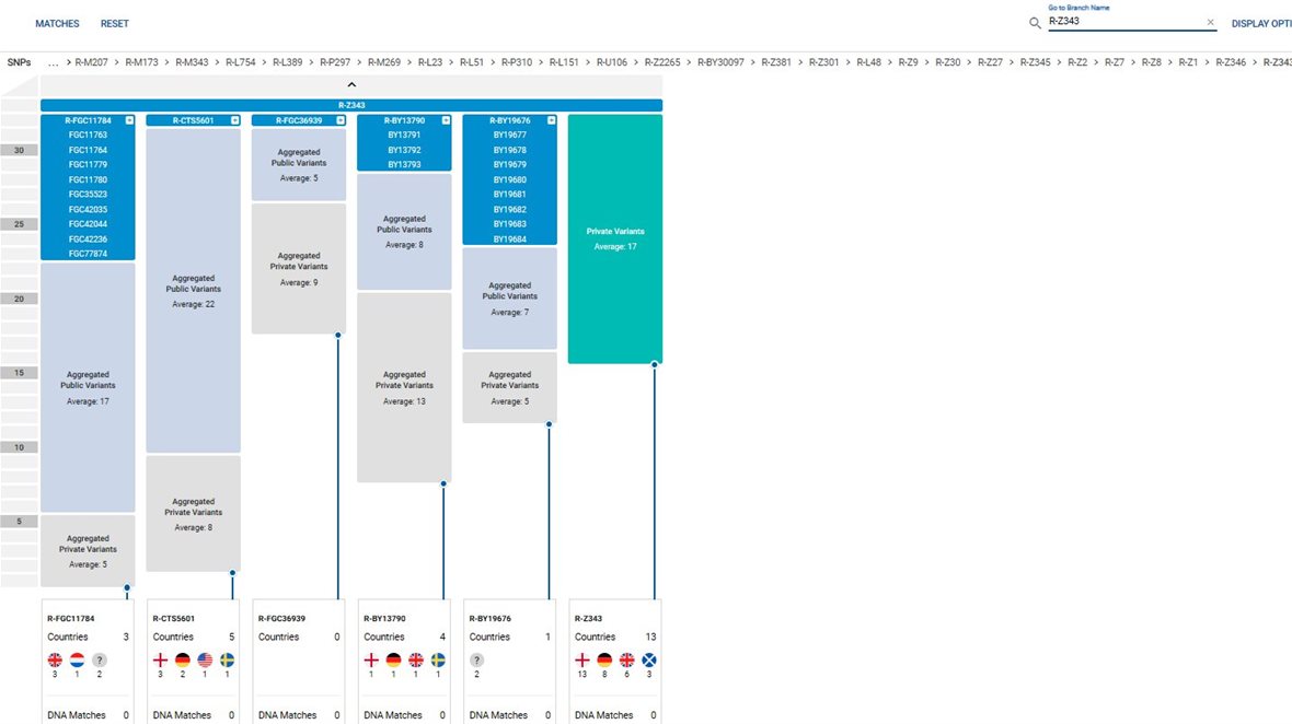 Porter - Activity Feed | FamilyTreeDNA