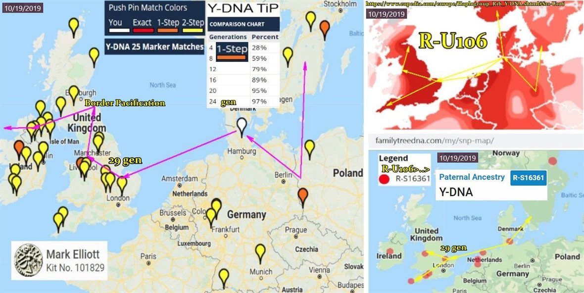 FTDNA Irvine Irwin - Gorrenberry
