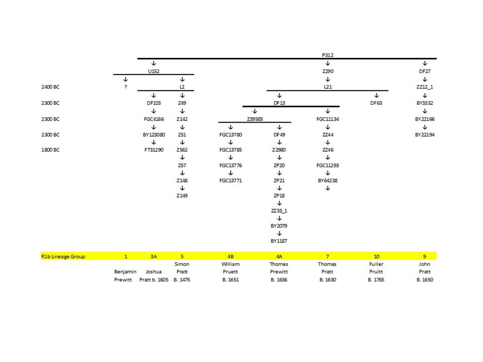 Pratt - Activity Feed | FamilyTreeDNA