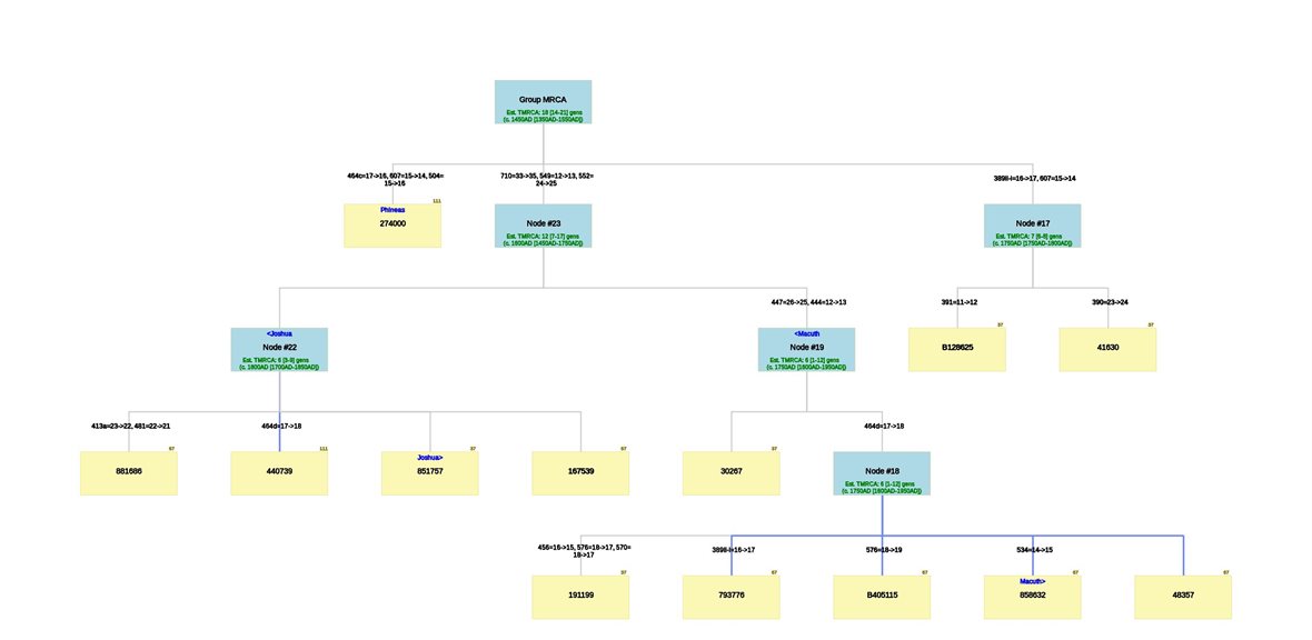 Pratt - Activity Feed | FamilyTreeDNA