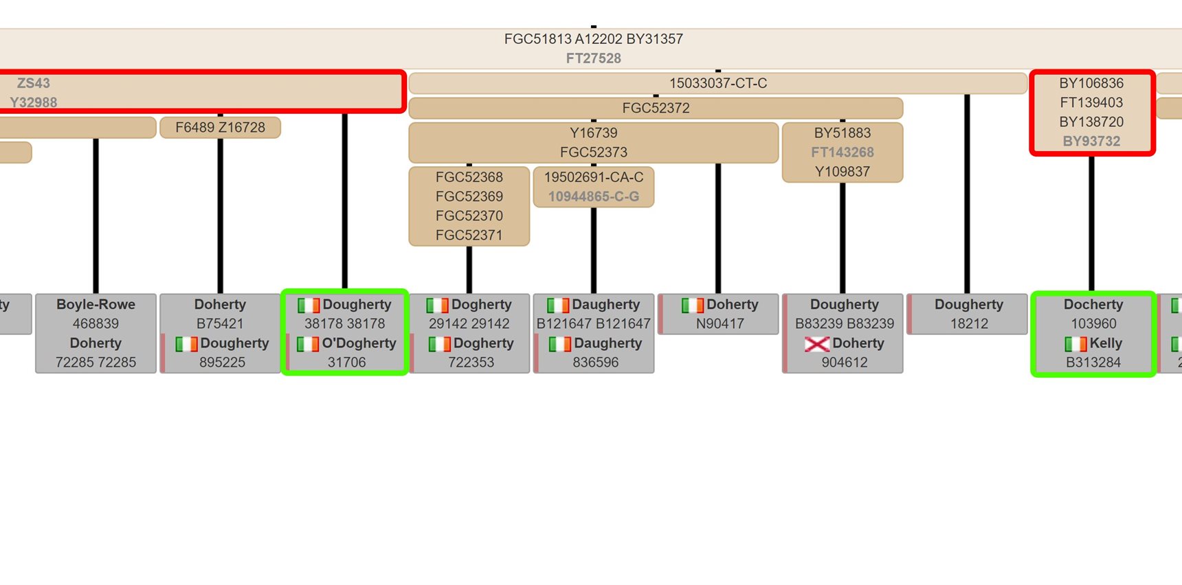 Doherty Surname Group - Photos | FamilyTreeDNA