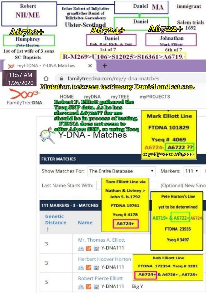 FTDNA Yorkshire - Gorrenberry