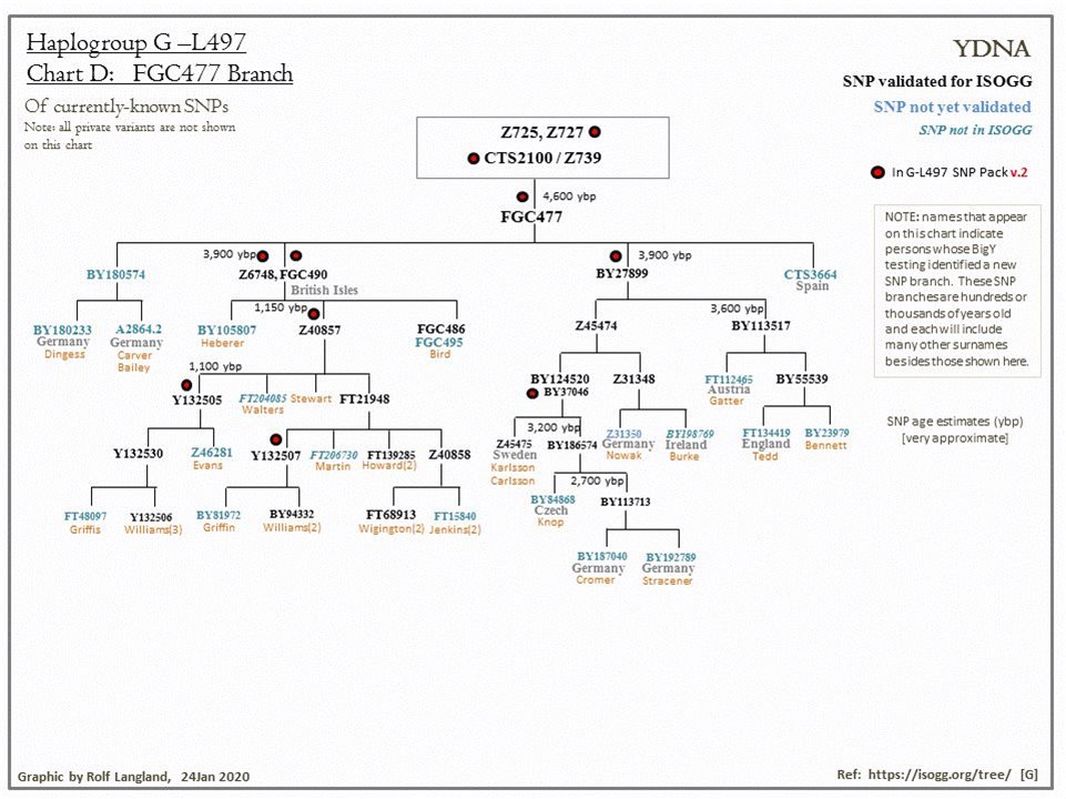 G-L497 Y-DNA - Activity Feed | FamilyTreeDNA