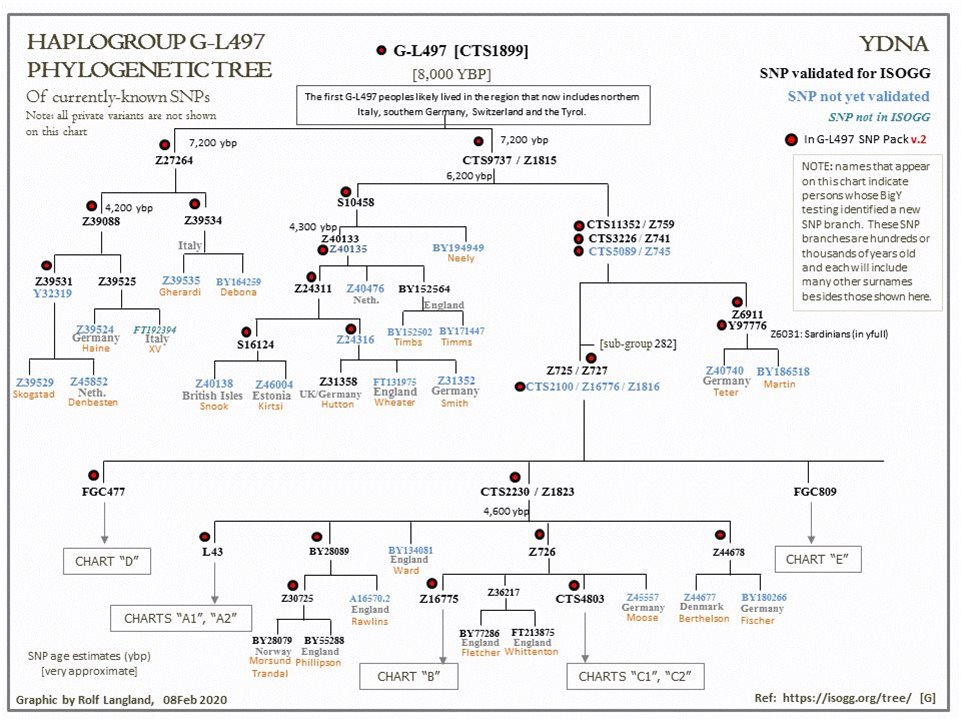 G-L497 Y-DNA - Activity Feed | FamilyTreeDNA