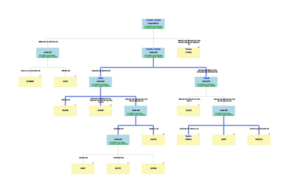 Pratt - Activity Feed | FamilyTreeDNA