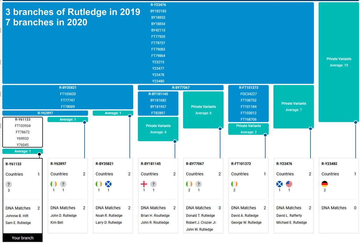 Rutledge/Routledge - Activity Feed | FamilyTreeDNA
