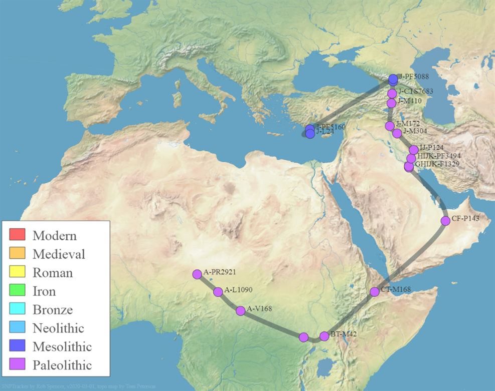 J2a-L24-Y-DNA - Activity Feed | FamilyTreeDNA
