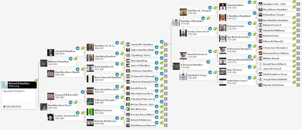 Hamilton - Activity Feed | FamilyTreeDNA
