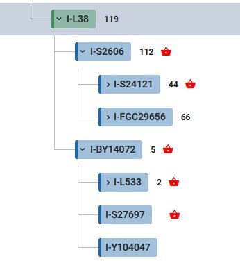 Haplogroup I-L38 - Activity Feed | FamilyTreeDNA