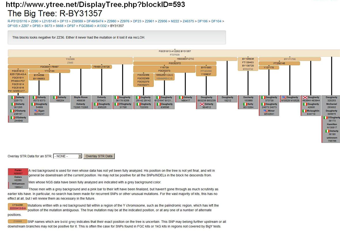 Doherty Surname Group - Activity Feed | FamilyTreeDNA