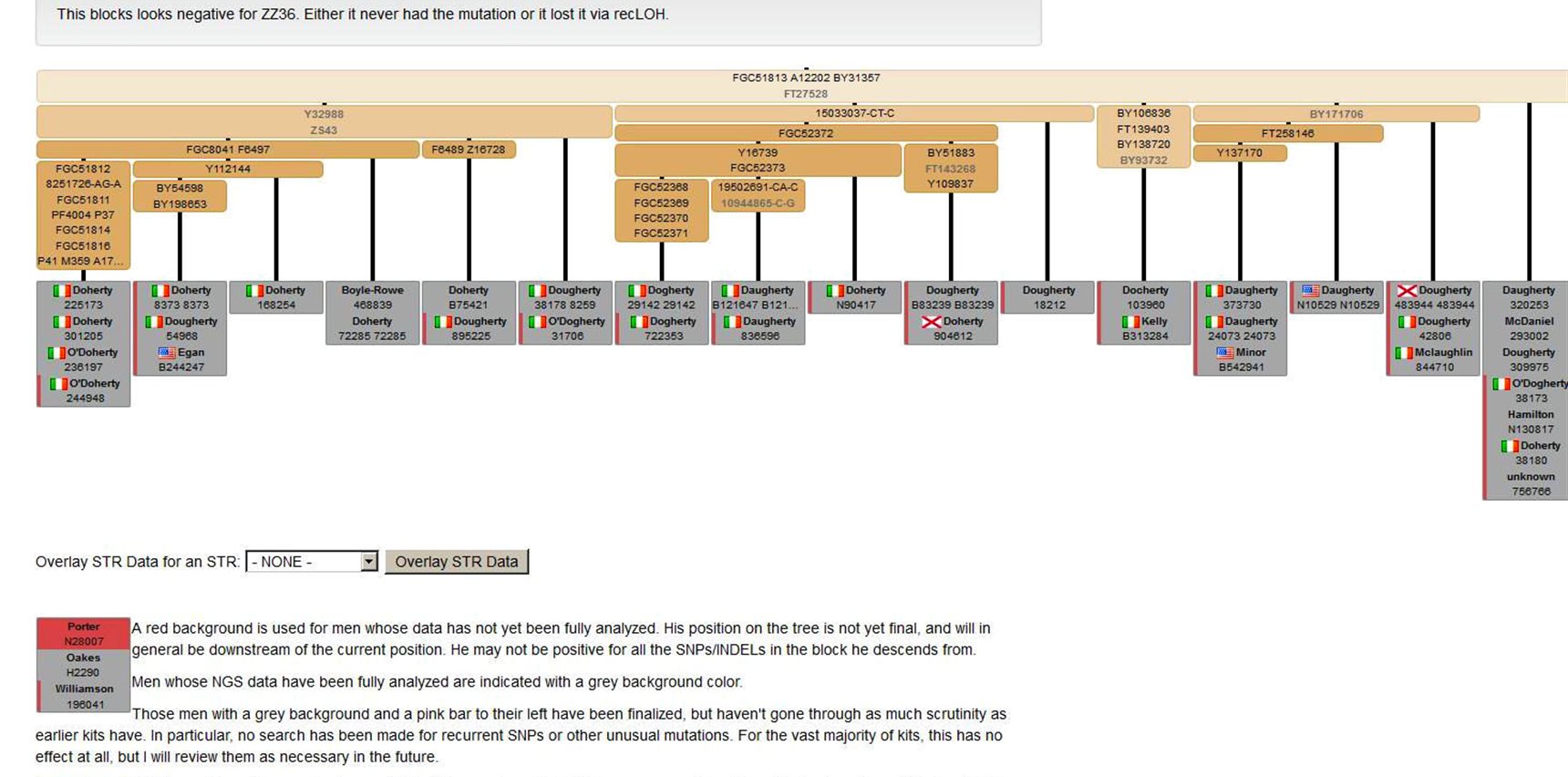 Doherty Surname Group - Photos | FamilyTreeDNA