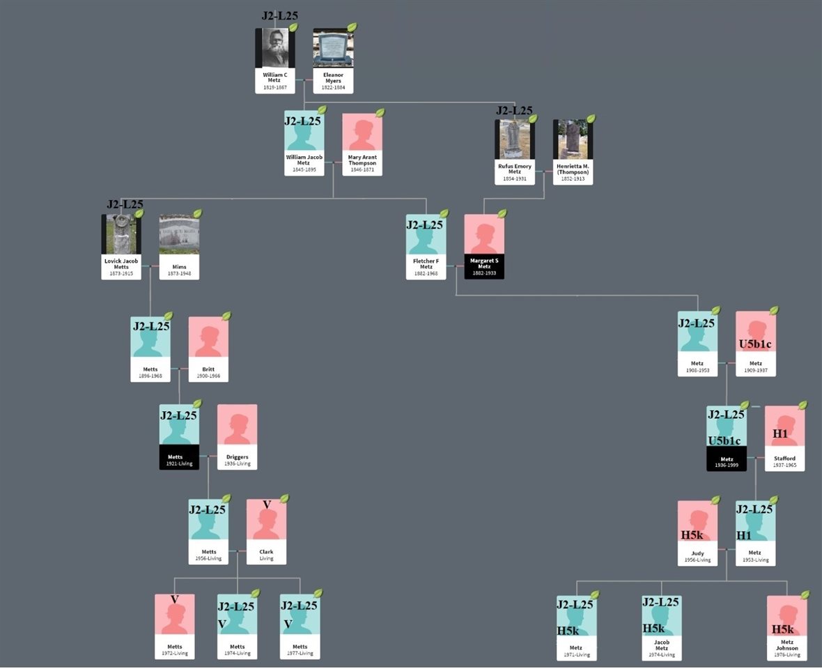 J2a-L24-Y-DNA - Activity Feed | FamilyTreeDNA
