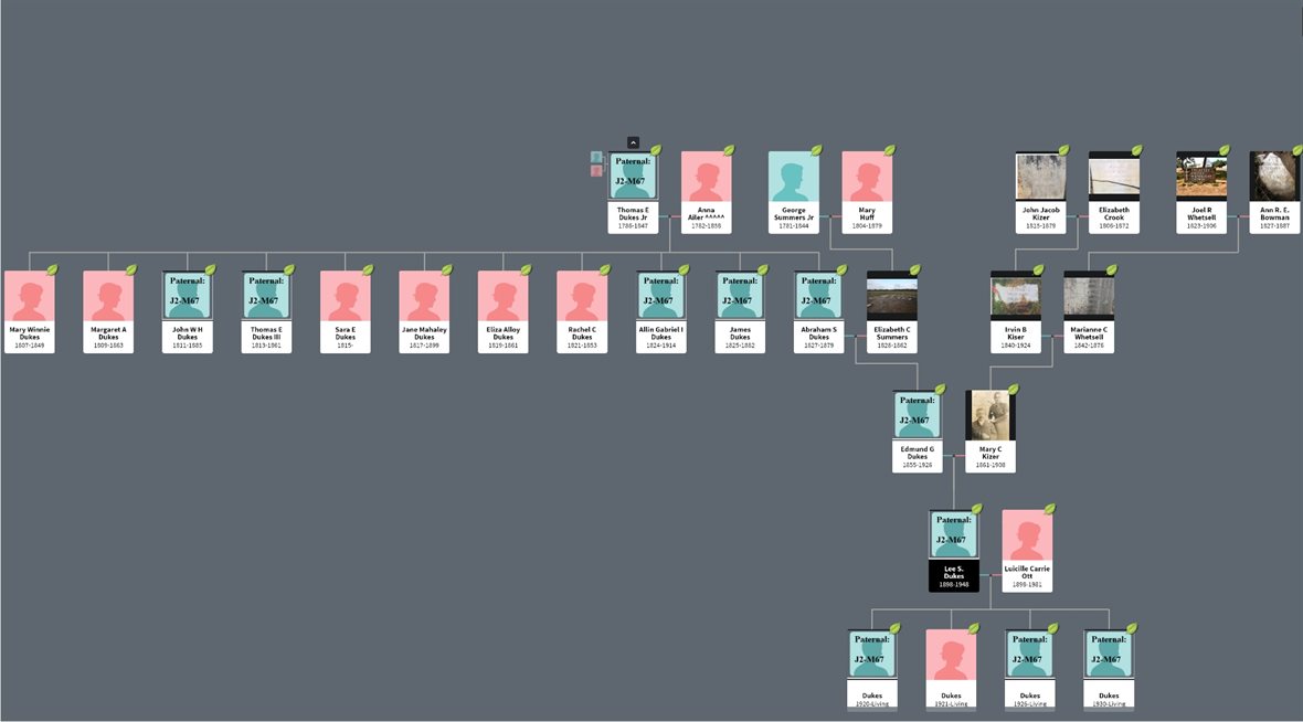 J2a-L24-Y-DNA - Activity Feed | FamilyTreeDNA