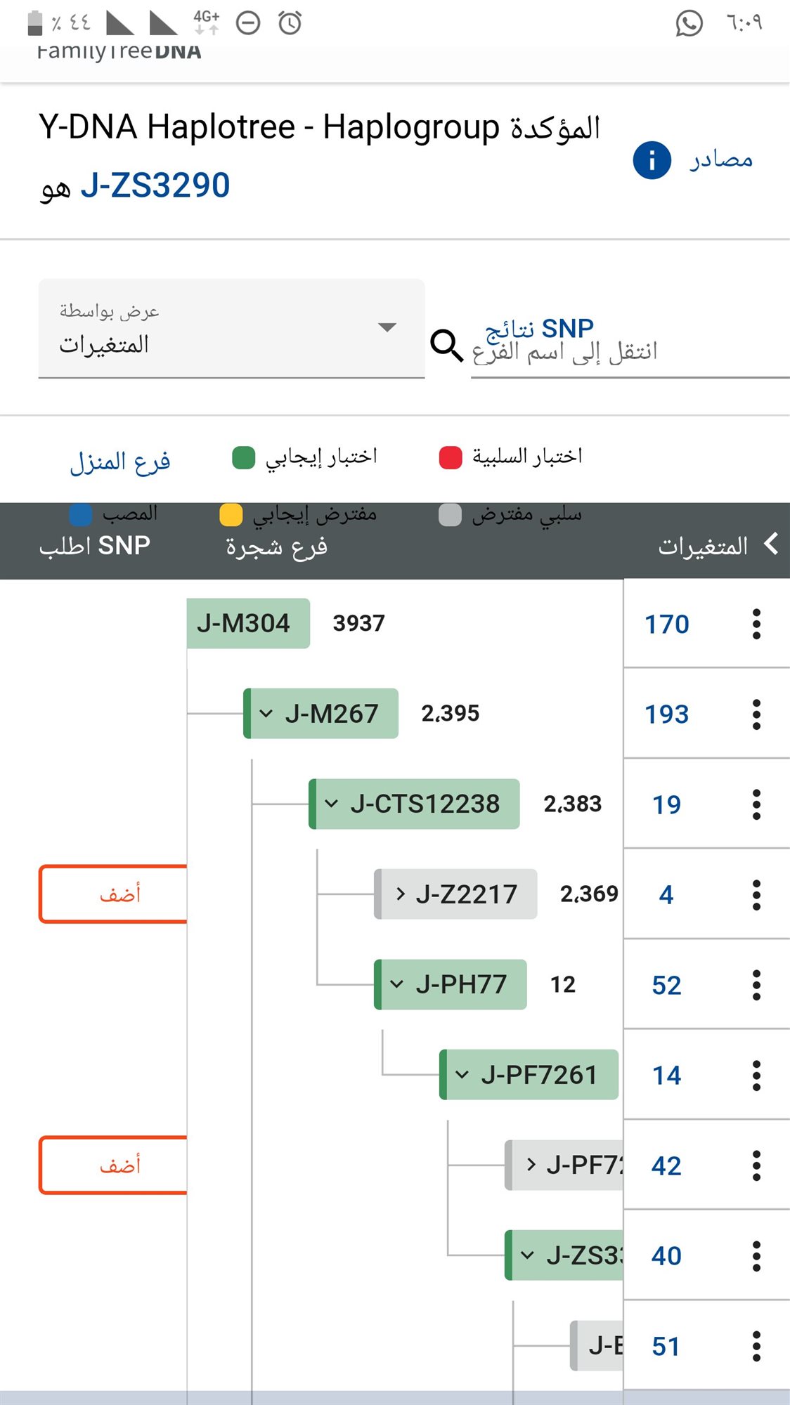 Middle East - Activity Feed | FamilyTreeDNA