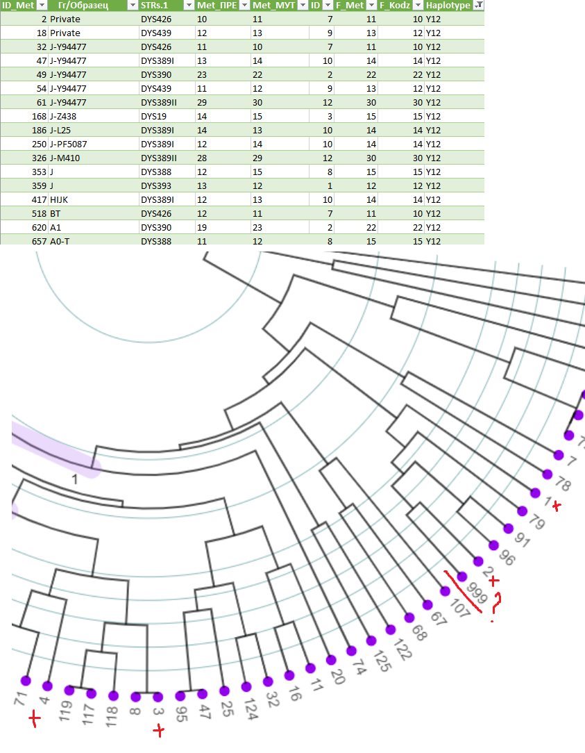 J2a-L24-Y-DNA - Activity Feed | FamilyTreeDNA