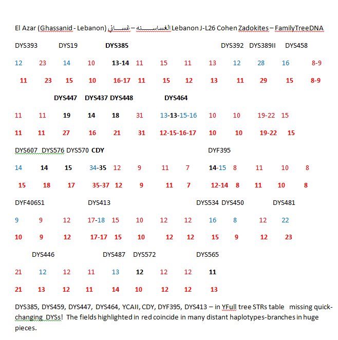 J2a-L24-Y-DNA - Activity Feed | FamilyTreeDNA