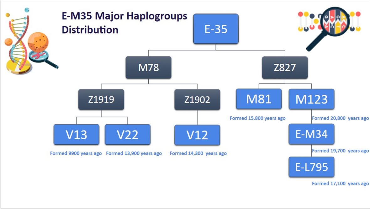E-M35_Project - Activity Feed | FamilyTreeDNA