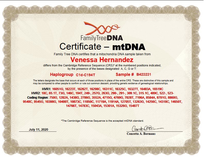 Amerindian-Mexico - Activity Feed | FamilyTreeDNA