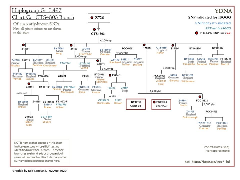 G-L497 Y-DNA - Activity Feed | FamilyTreeDNA