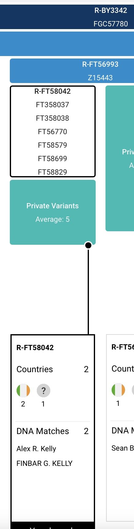 Kelley - Activity Feed | FamilyTreeDNA