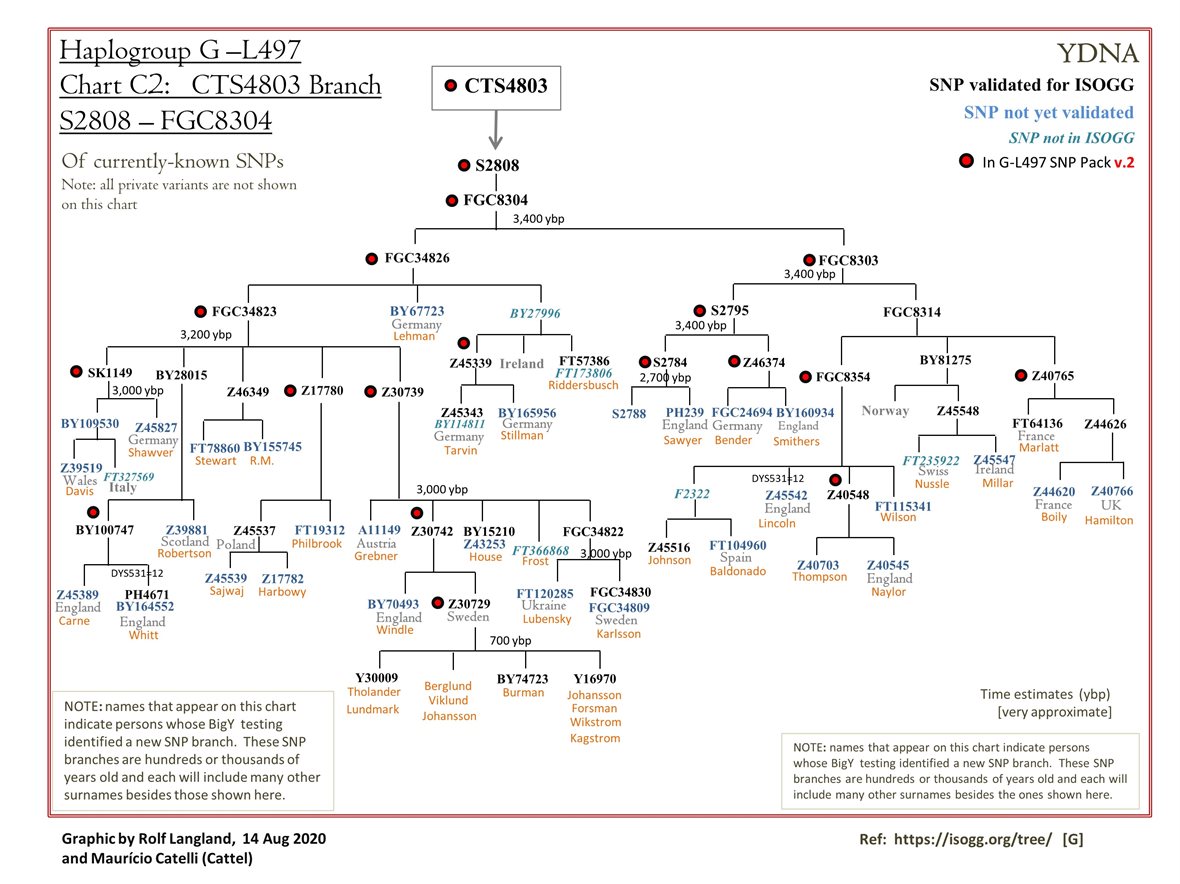 G-L497 Y-DNA - Activity Feed | FamilyTreeDNA