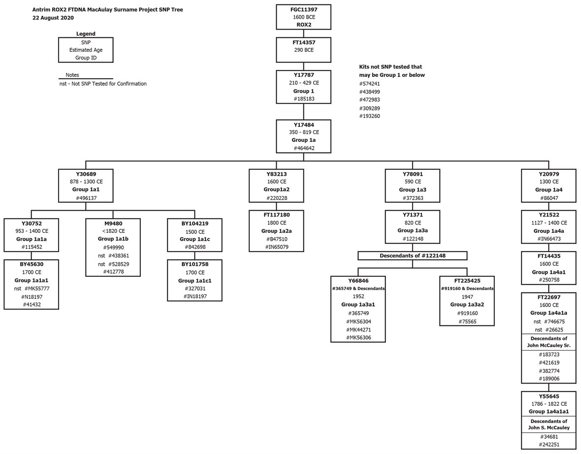 MacAulay - Activity Feed | FamilyTreeDNA