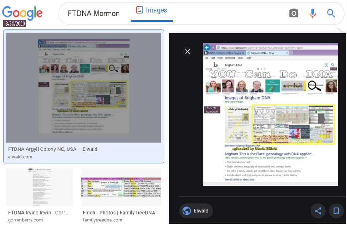 Finch - Activity Feed | FamilyTreeDNA
