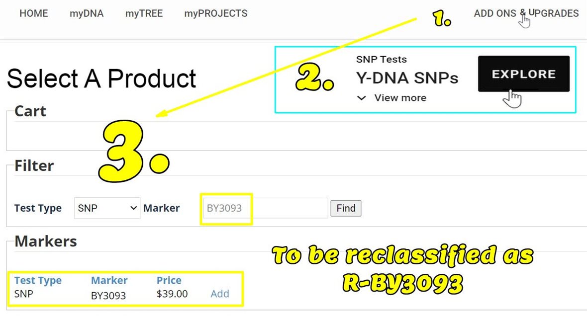 McGuire - Activity Feed | FamilyTreeDNA