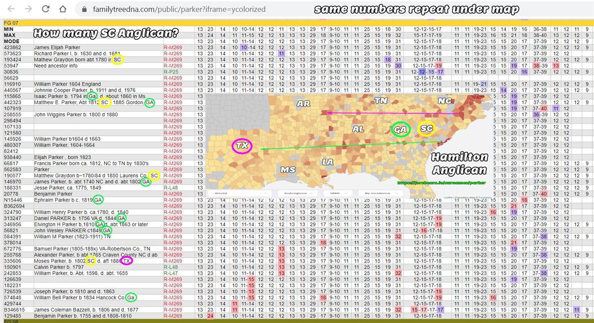 Parker - Activity Feed | FamilyTreeDNA