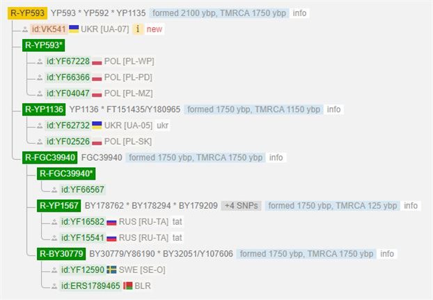 Idel - Activity Feed | FamilyTreeDNA