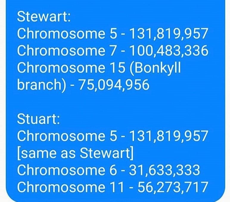 STEWART (royal) - Activity Feed | FamilyTreeDNA